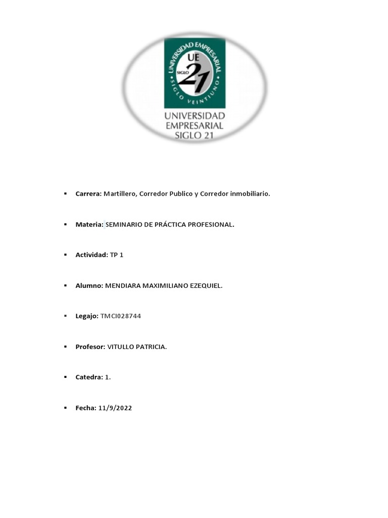 Seminario de Práctica Profesional-Tp 1 | PDF