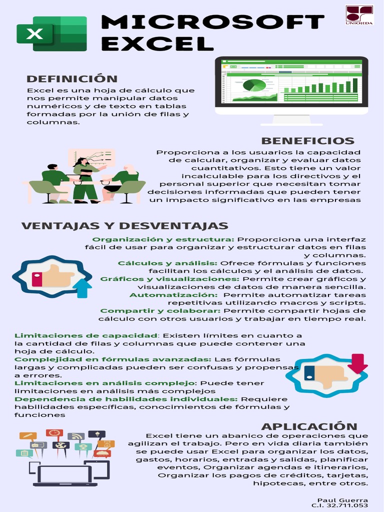 Infografia Excel | PDF