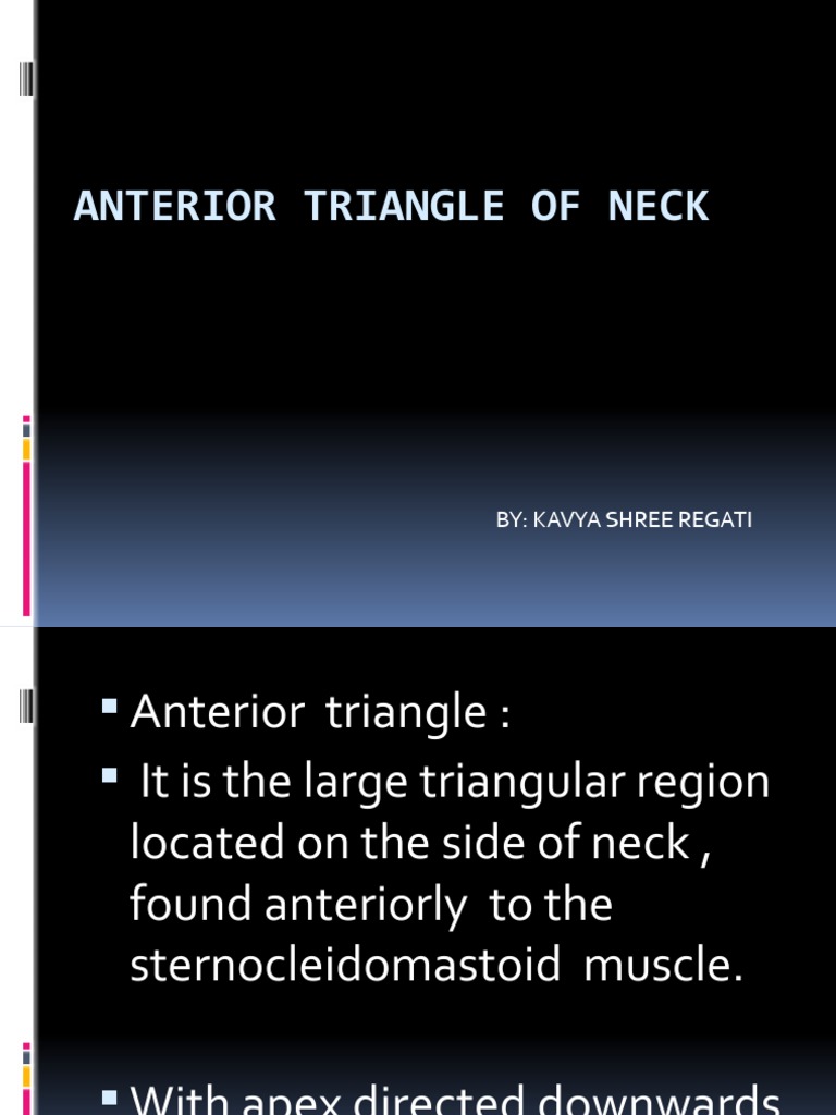 Anterior Triangle of Neck | PDF