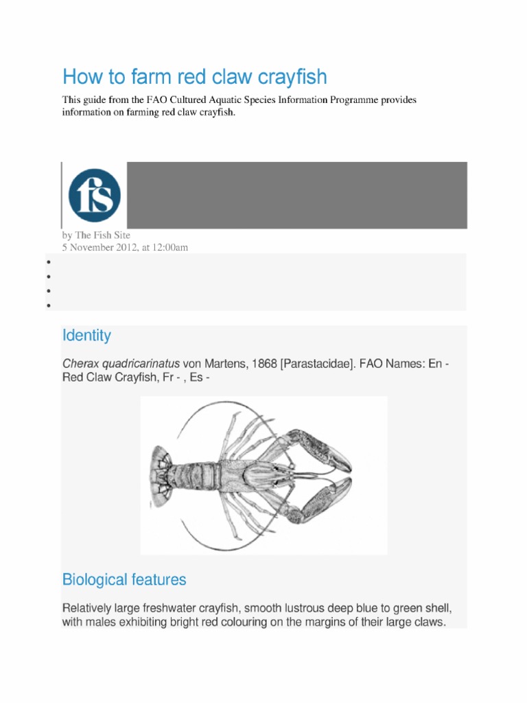 How To Farm Red Claw Crayfish | PDF
