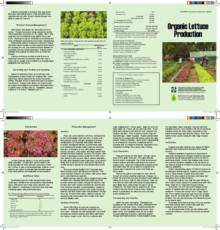 Cost Analysis of Organic Lettuce Production | PDF | Lettuce | Food Industry