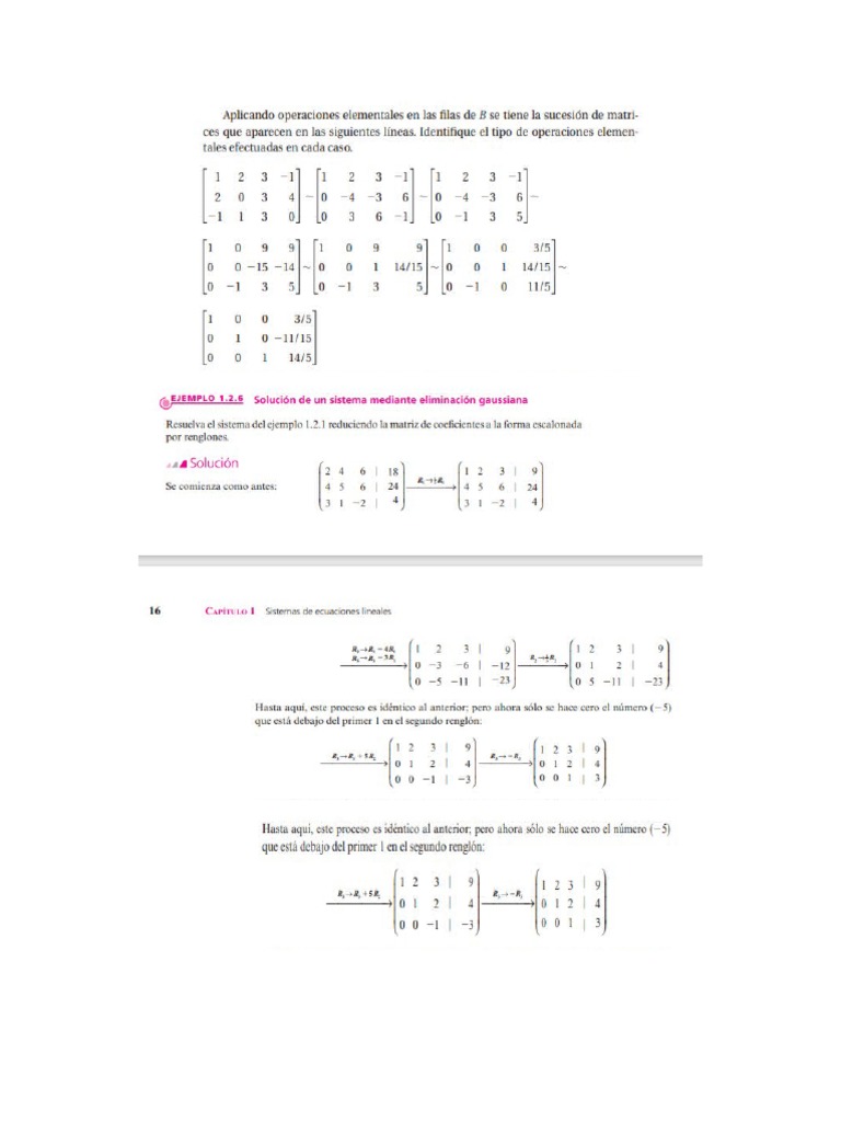Ejercicios de matriz identidad | PDF