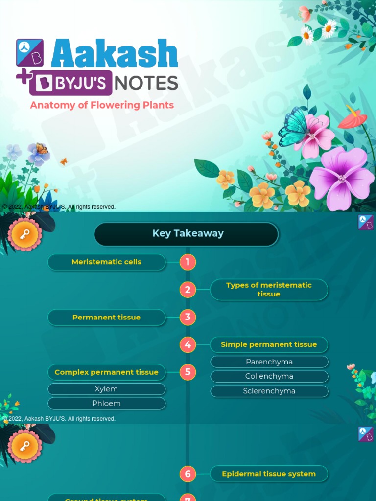 Anatomy Of Flowering Plants Pdf