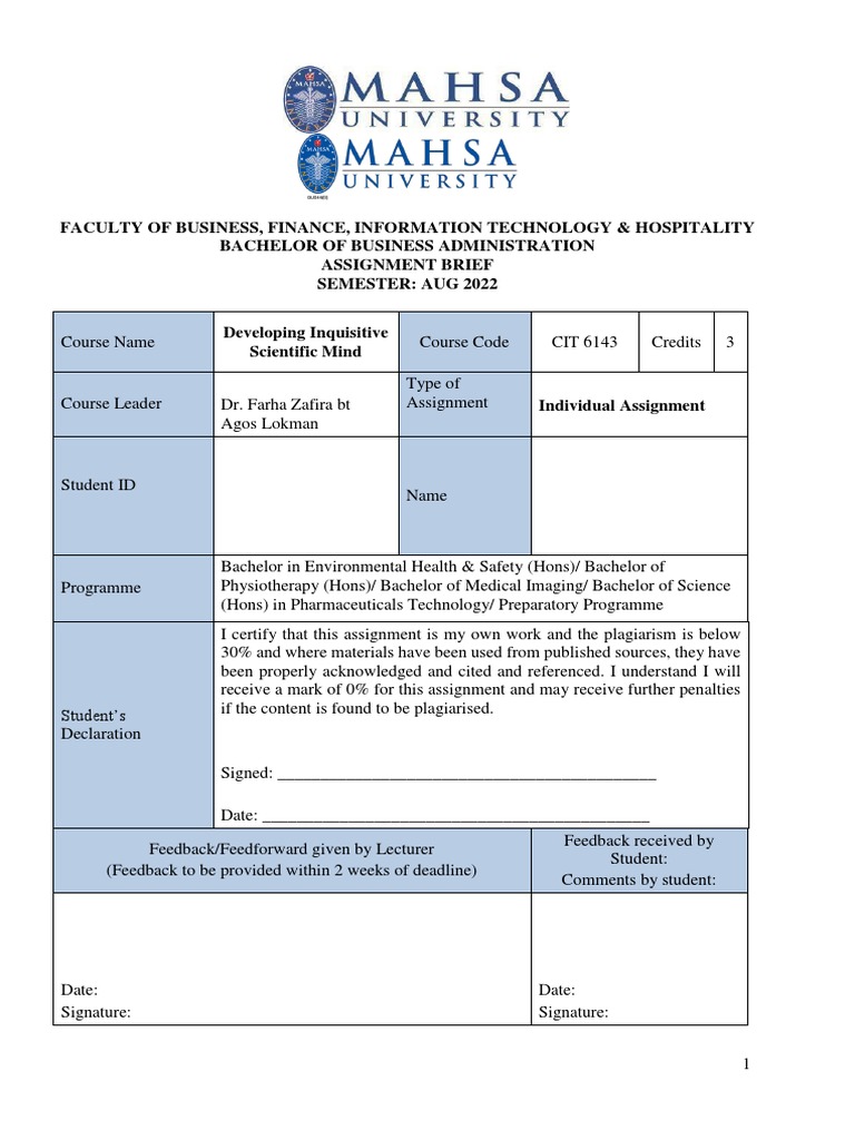 Cit Individual Assignment Guideline | PDF