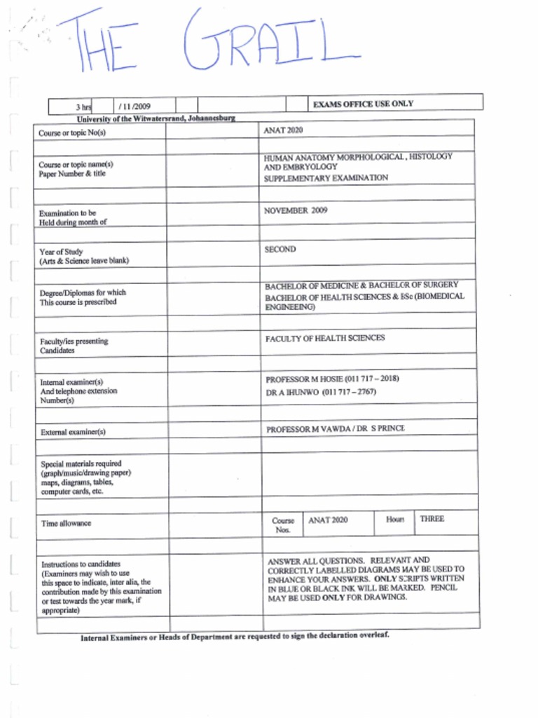 Anat2020 Past Paper Memos Holy Grail | PDF