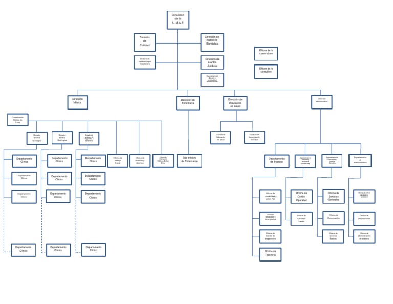 Organigrama UMAE HEP | PDF