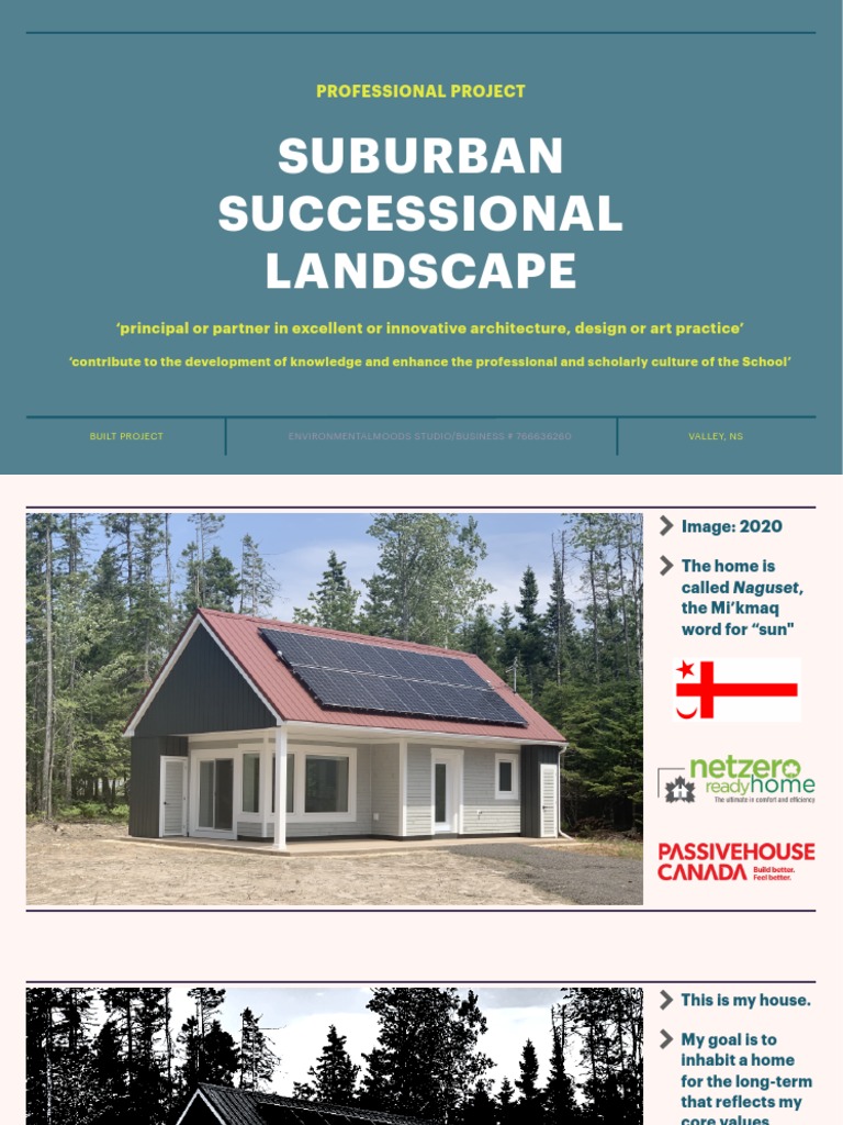 Innovative Professional Project - LA | PDF