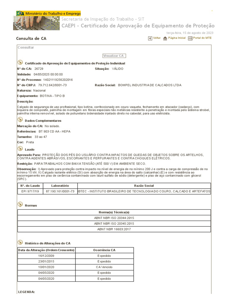 Botina de segurança | PDF