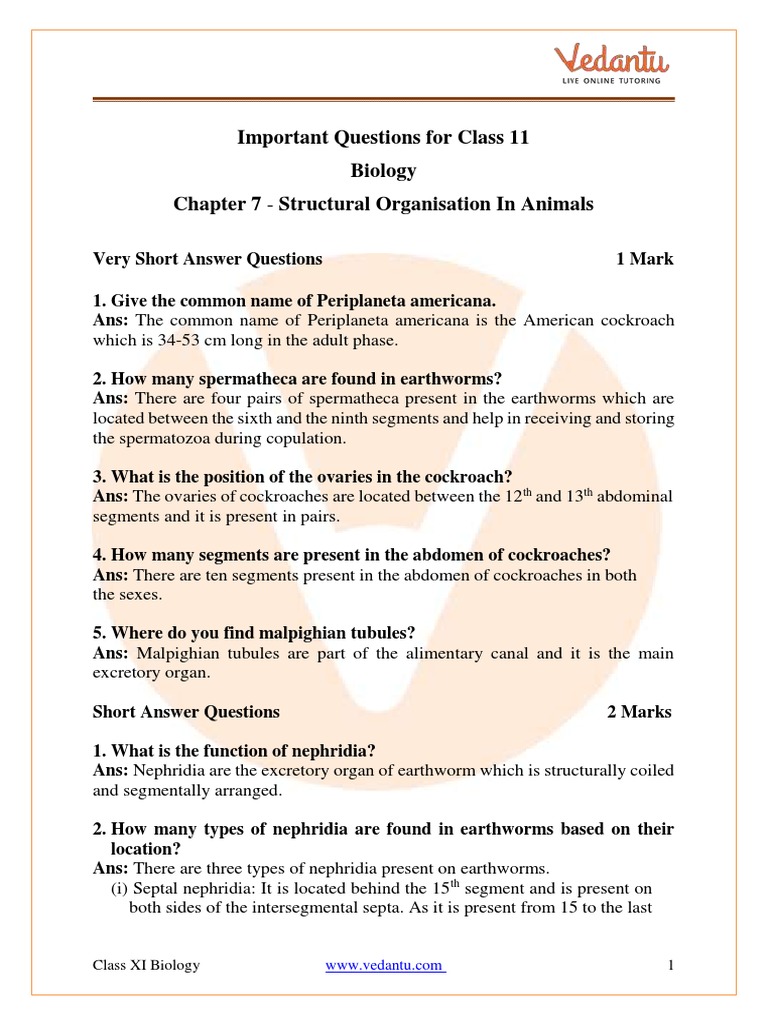 NCERT Solutions for Class 11 Biology Chapter 7 _Structural Organisation ...
