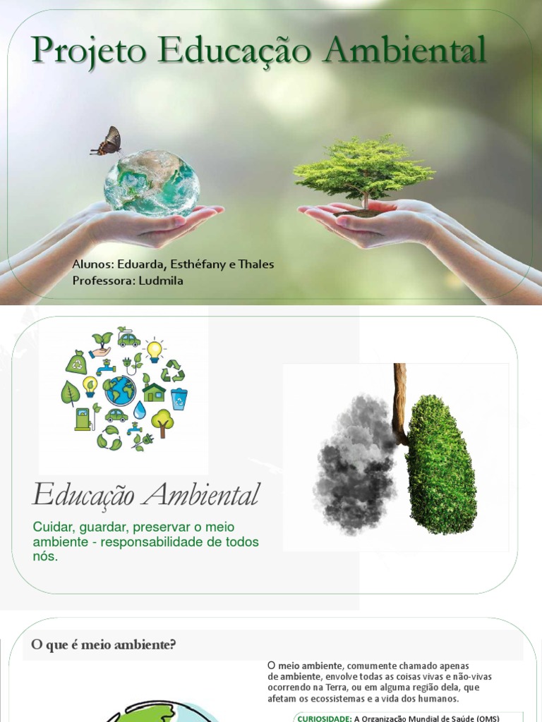 Meio Ambiente PDF | PDF