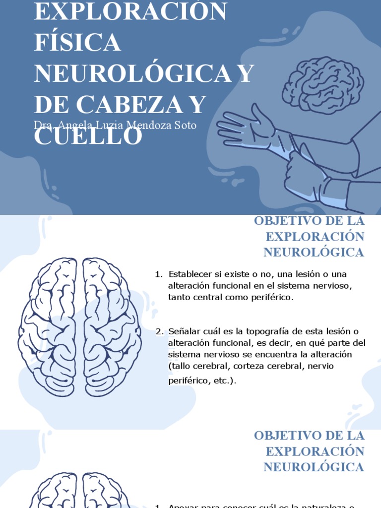 Exploración Física Neurológica y de Cabeza y Cuello | PDF | Cabeza y cuello humanos | Anatomía ...