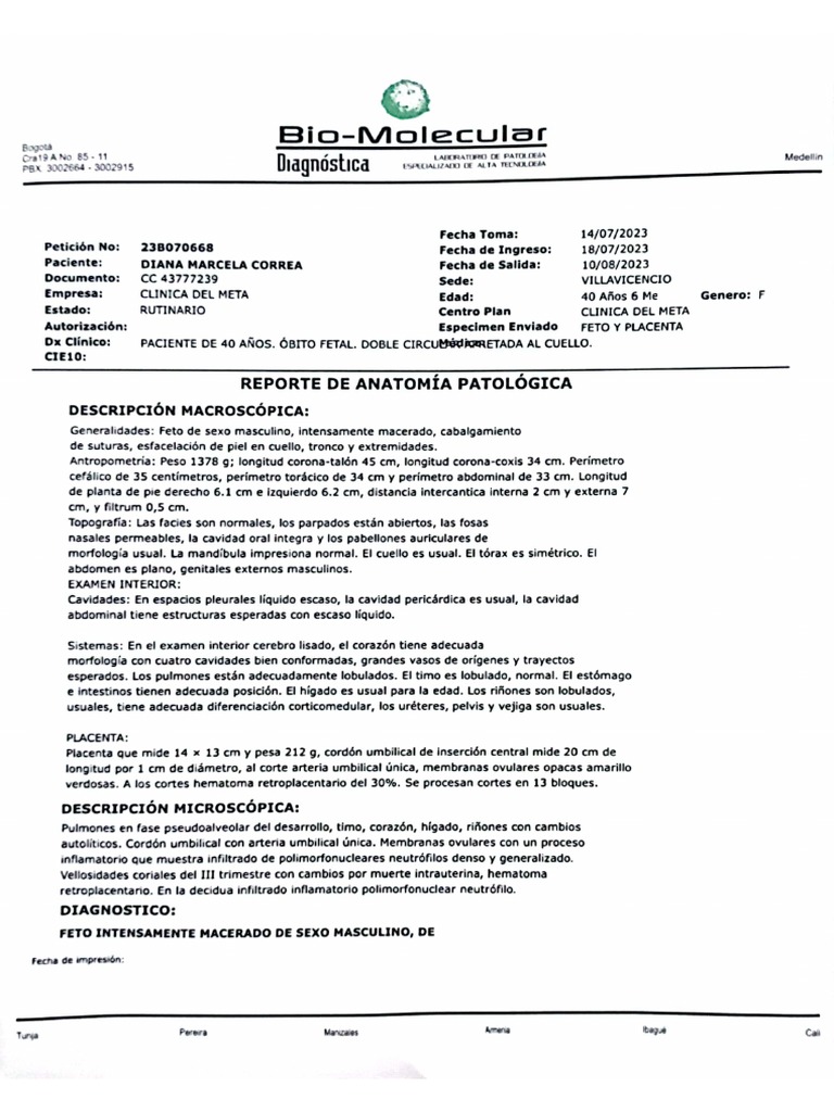 Reporte de Diana Marcela Correa | PDF