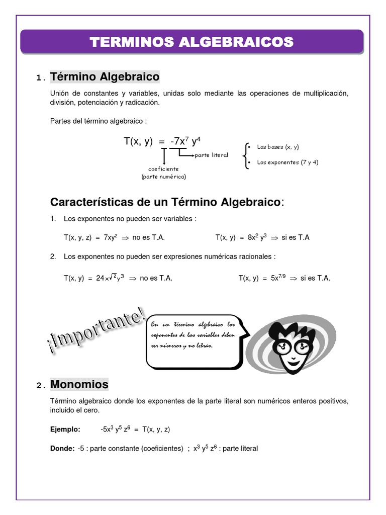 TÉRMINO ALGEBRAICO | PDF | Análisis numérico | Aritmética