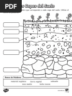 Sopa de Letras de Ecosistemas para Niños | PDF