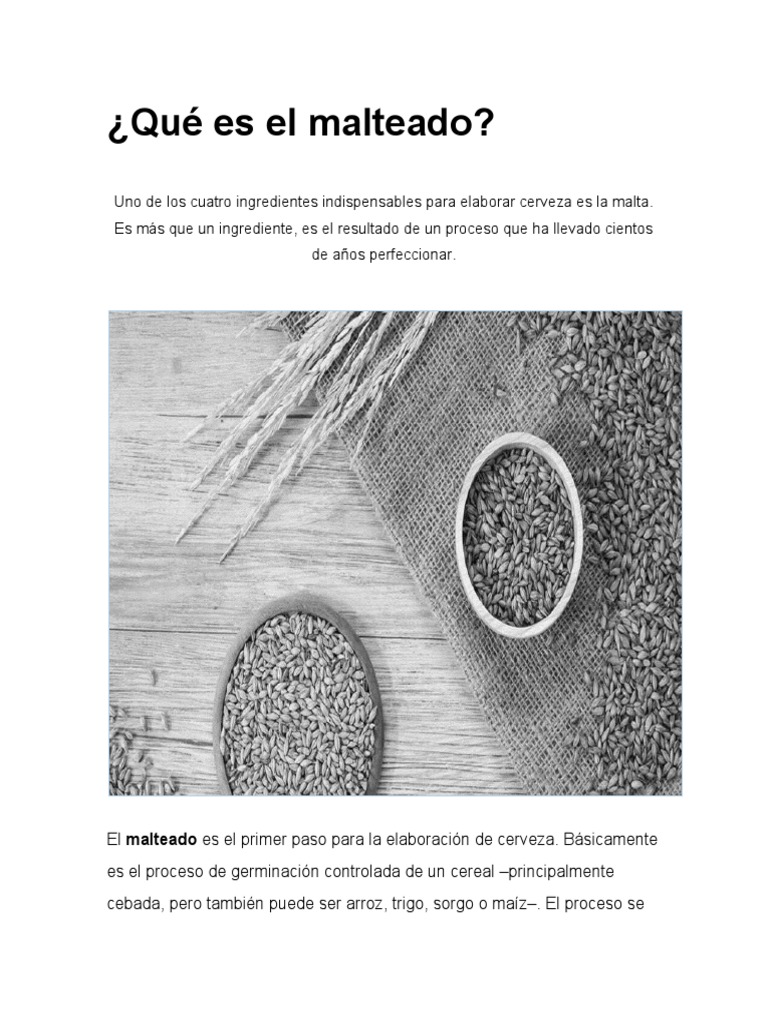Qué Es El Malteado | PDF