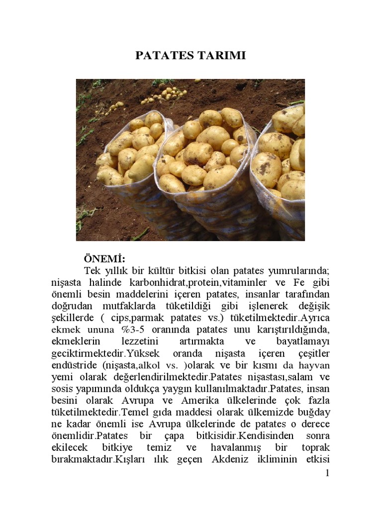 Patates | PDF