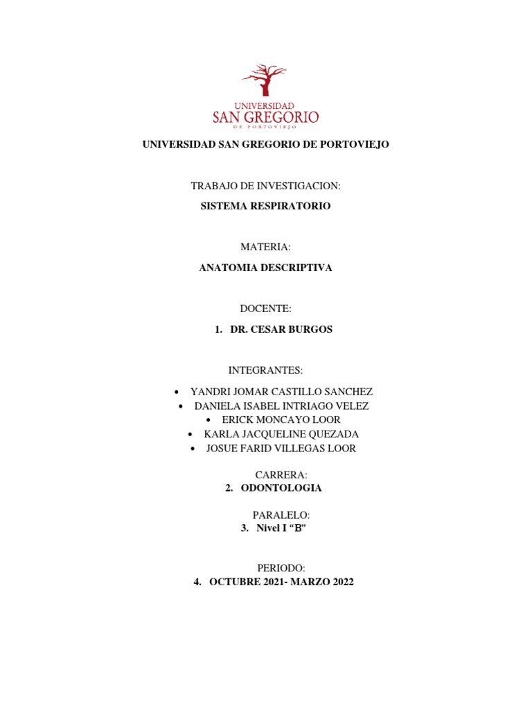 Anatomia Sistema Respiratorio Pdf Laringe Pulmón