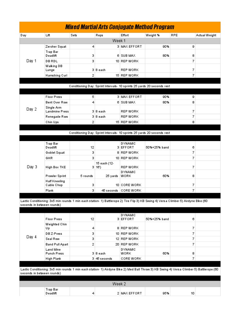 MMA Conjugate Method Program | PDF