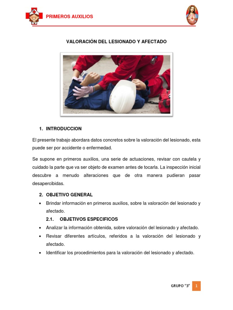VALORACIÓN DEL LESIONADO Y AFECTADO Informe | PDF