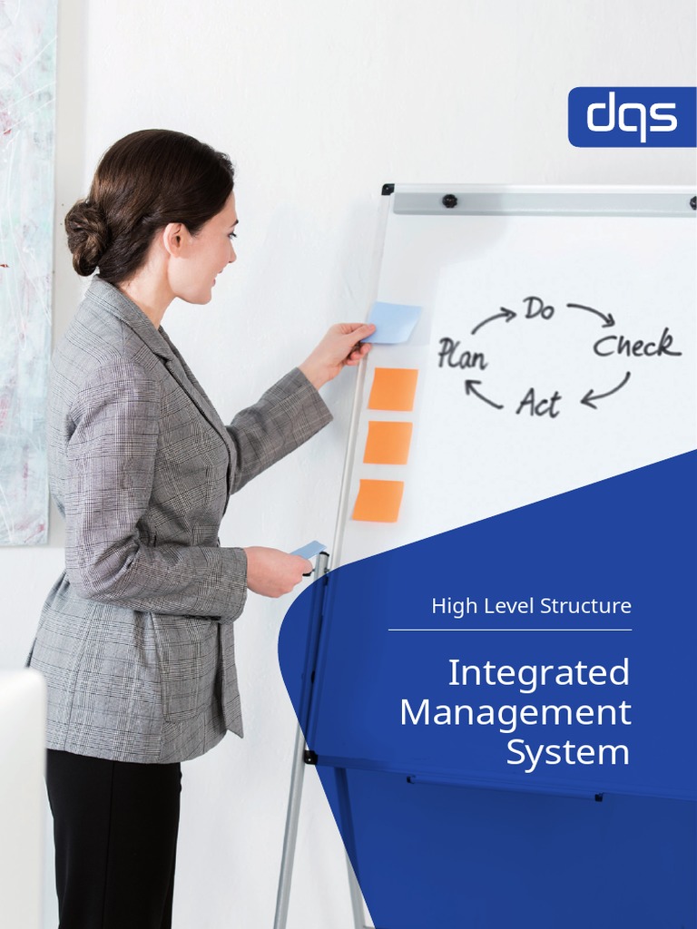 DQS High Level Structure - Integrated Management Systems | PDF