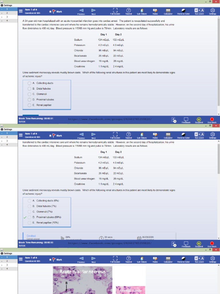 Renal Urinary Systems Electrolytes Block 1 Step 1 Uworld 2020 Oet ...