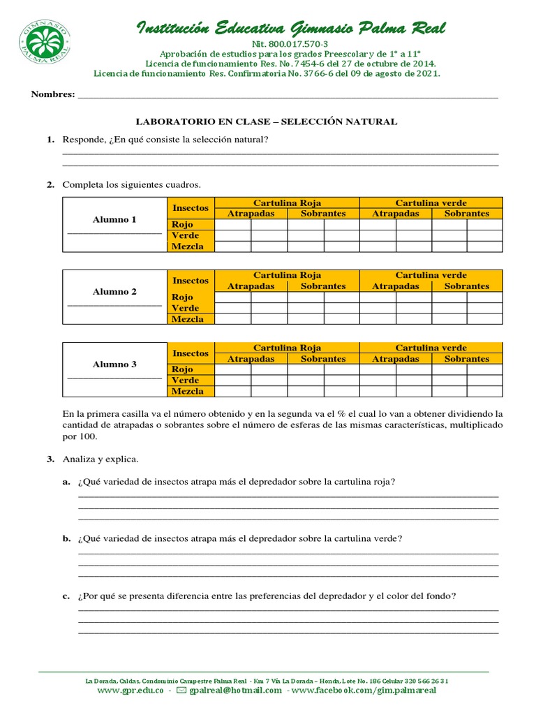 Lab de Clase 9 | PDF