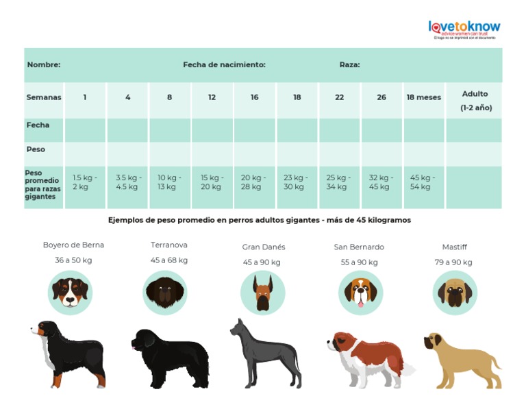 4179 Tabla Peso Cachorro Raza Gigante | PDF