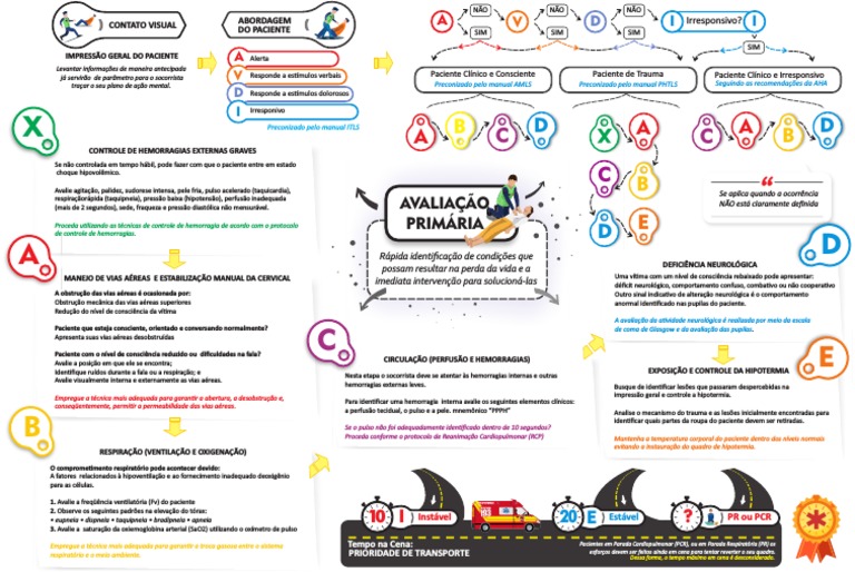 Infografico MODULO 2 - Mapa Mental | PDF