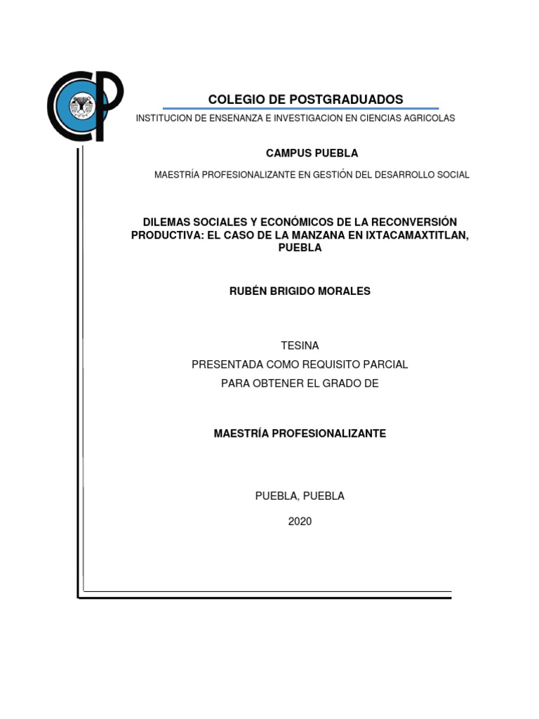 Ejemplo Tesina | PDF