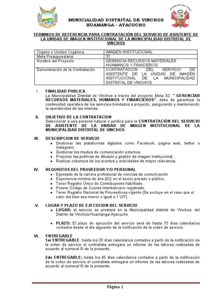 Tdr- Asistente Imagen Institucional | PDF