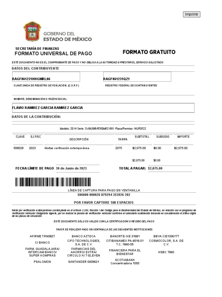 Formato Universal - Multa Verificacion | PDF