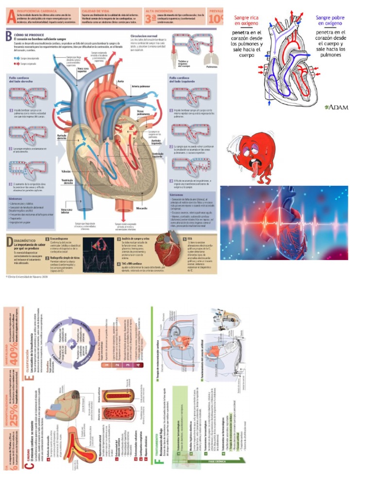 Ins Card | PDF