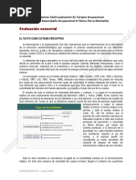 Tacto Protopático y Epicrítico en Kinesiología | PDF | Piel | Neurobiología