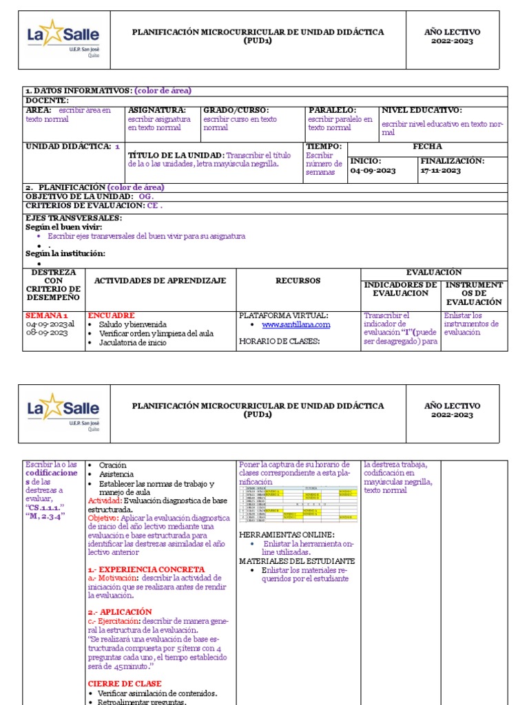 Formato de Pud | PDF