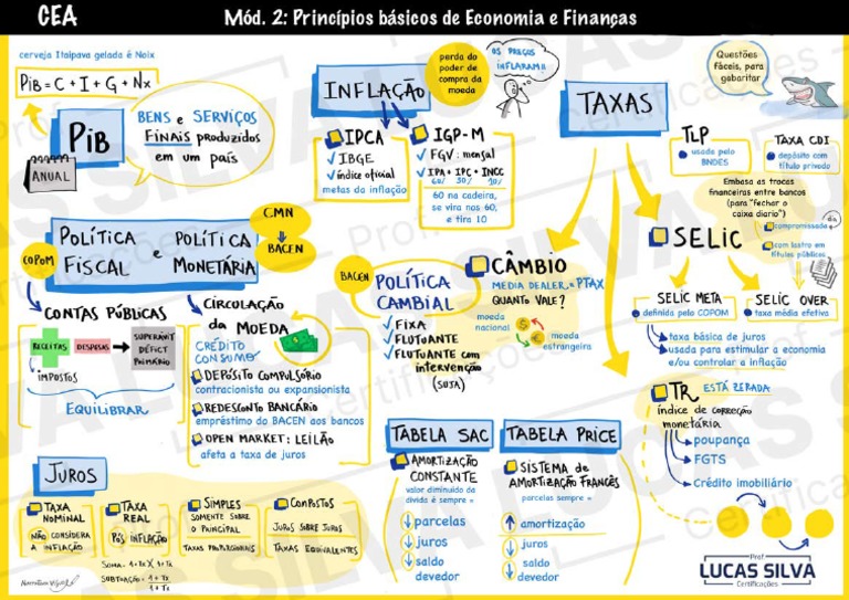 Cea Mapa Mental Modulo 2 | PDF