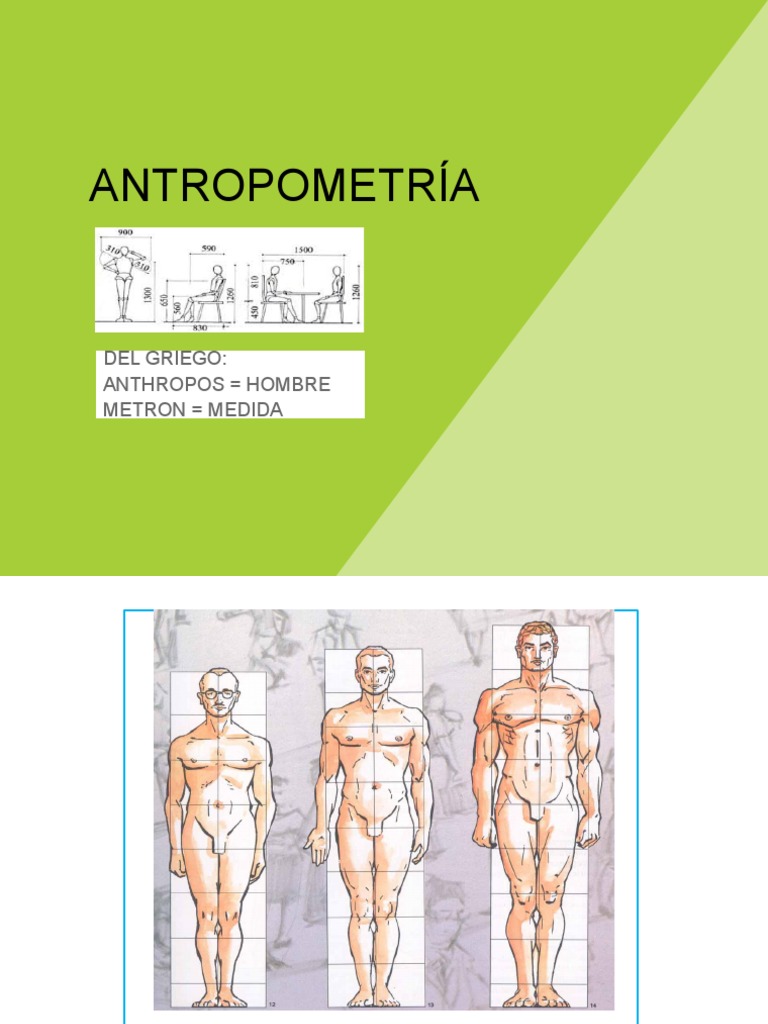 Utp Antropometria | PDF