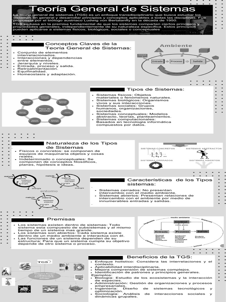 Teoría General de Sistemas | PDF | Sistema | Teoría de sistemas