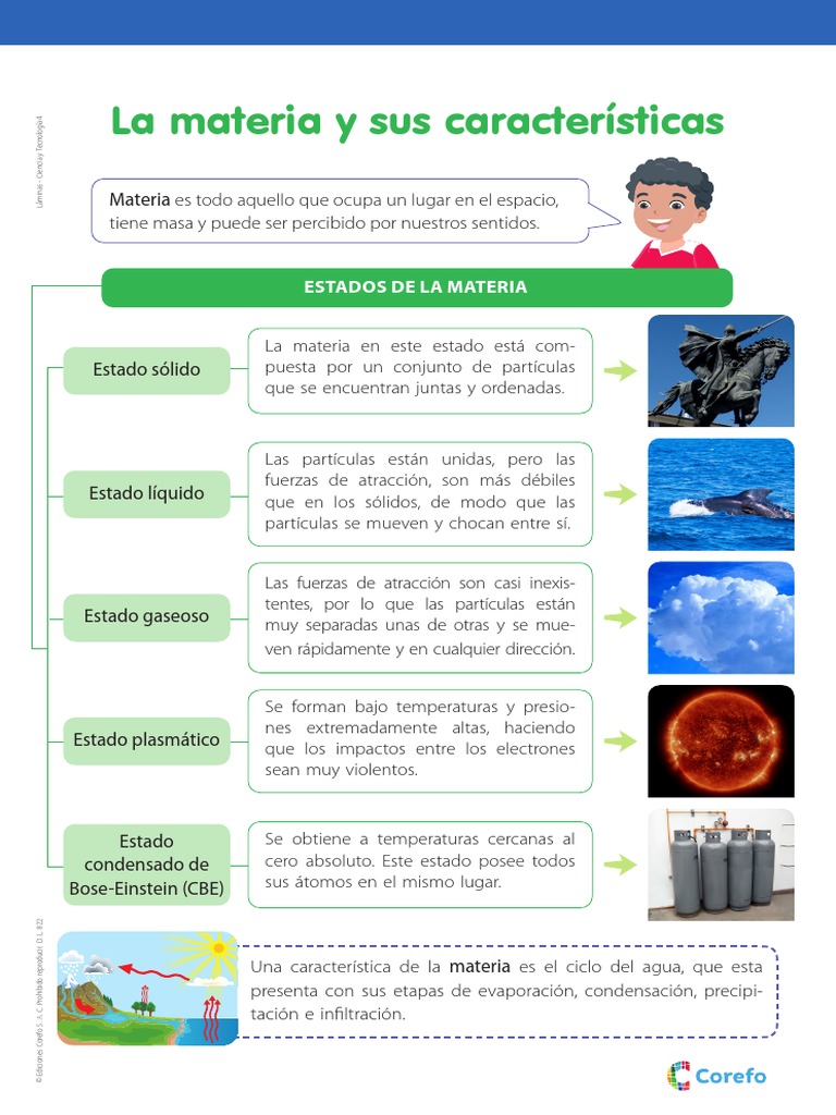 Lámina - La Materia y Sus Características | PDF