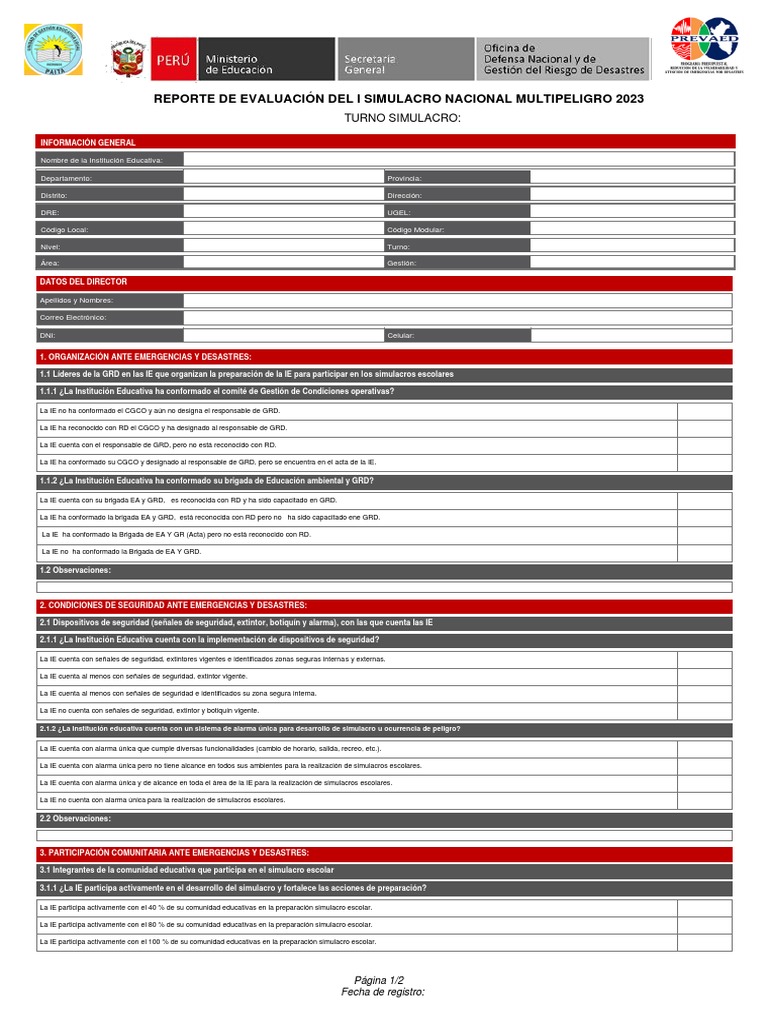 Reporte Evaluación Simulacro | PDF