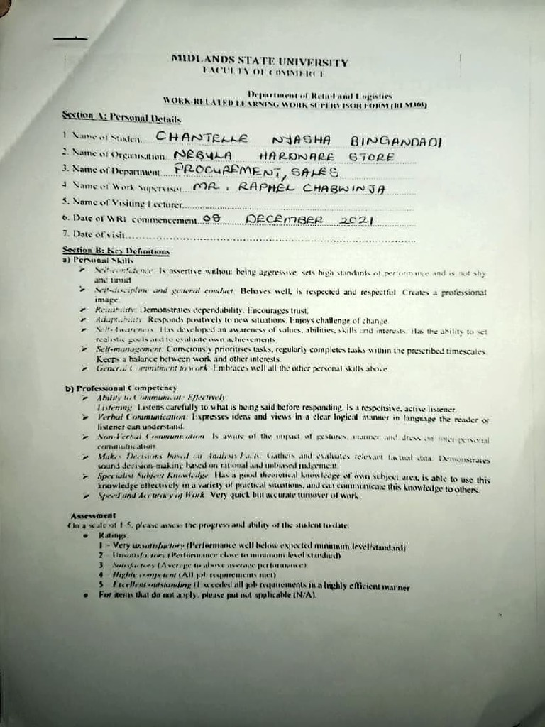 Assessment Form Nyasha | PDF