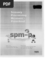 spm-2 Preschool Home Form Sample Report | PDF | Perception ...