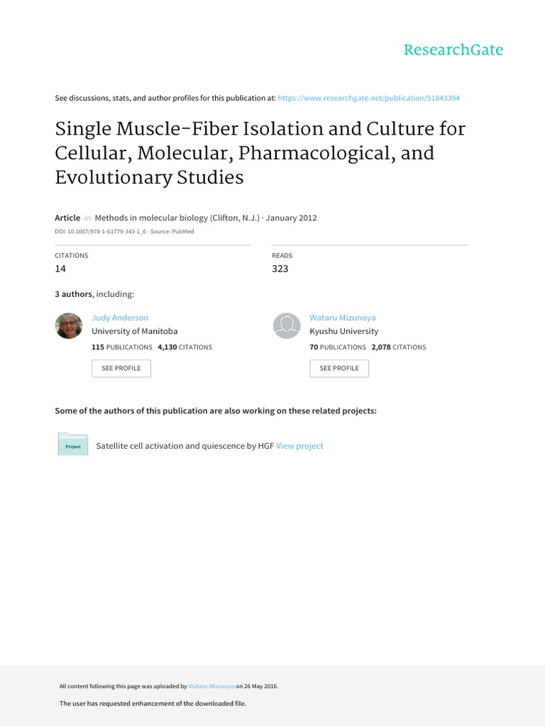 Single Muscle-Fiber Isolation and Culture For Cellular, Molecular ...