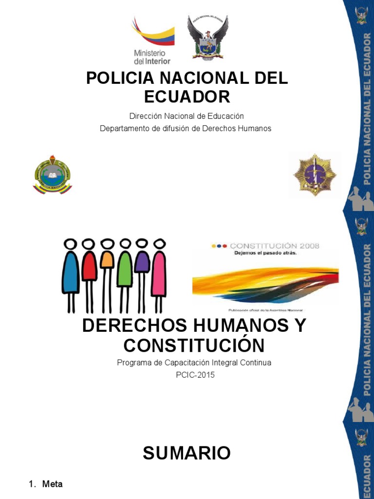 2 Derechos Humanos Y Constitución Descargar Gratis Pdf Derechos