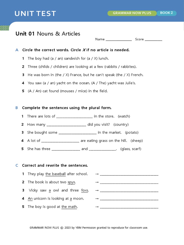 Grammar Now Plus Unit Test Book 2 | PDF