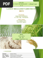 NSIC Seed Variety Catalogue 2023 | PDF | Rice | Organisms
