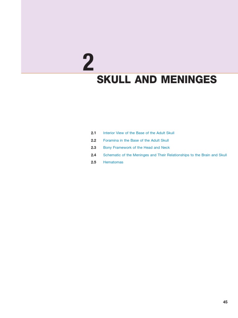 2 - Skull and Meninges - 2016 - Netter S Atlas of Neuroscience | PDF