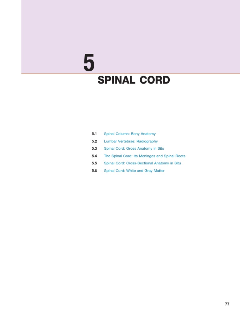 5 - Spinal Cord - 2016 - Netter S Atlas of Neuroscience | PDF