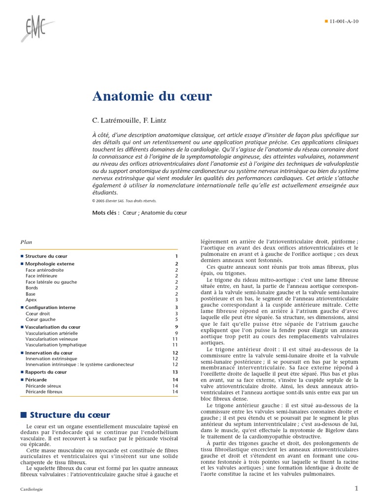 Anatomie détaillée du cœur humain | PDF