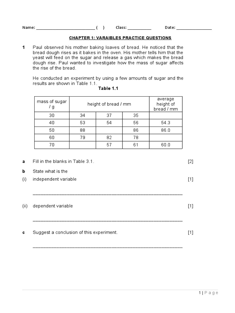 Test Chapter 01 - Variables Practice Questions | PDF