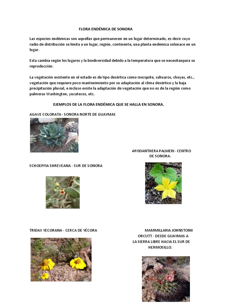 Flora Endémica de Sonora | PDF